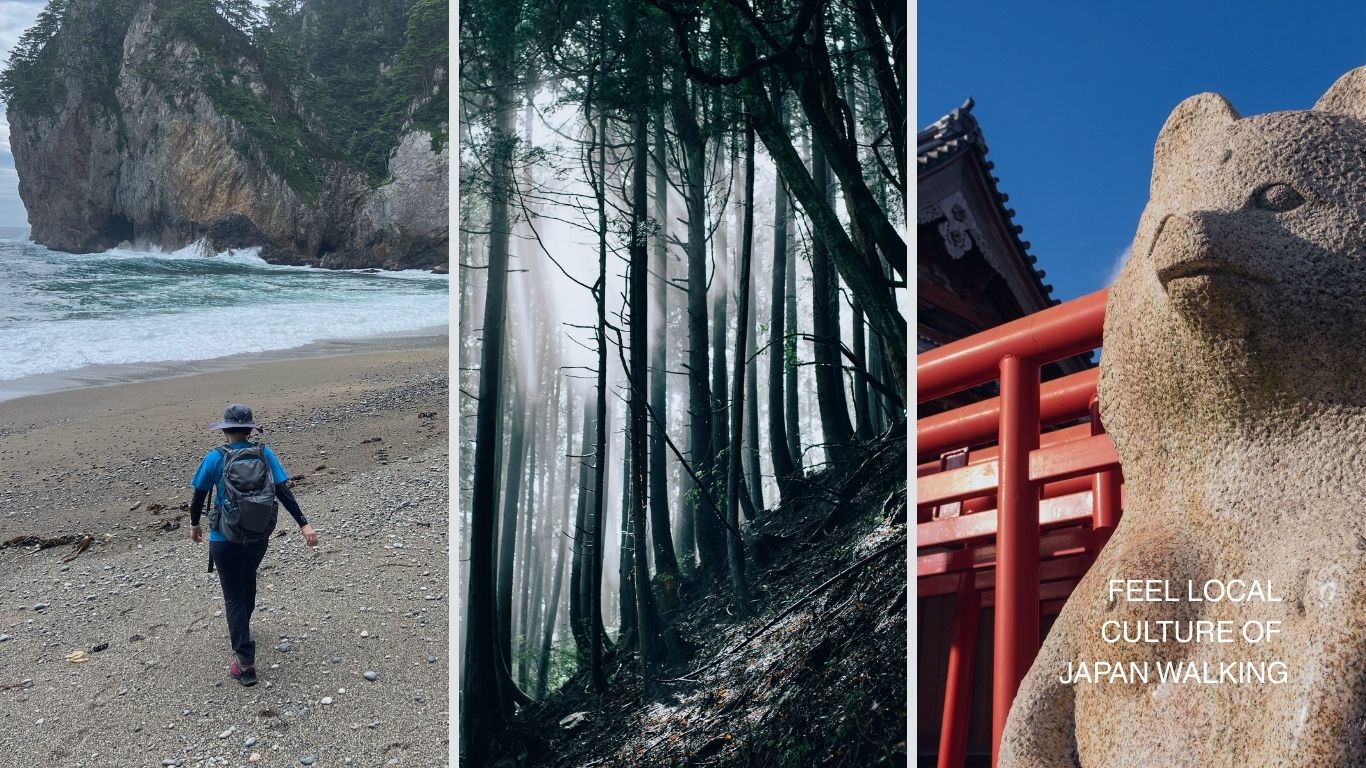 【TOHOKU to TOKYO to SIKOKU】FEEL LOCAL CULTURE OF JAPAN WALKING - JAPAN ...
